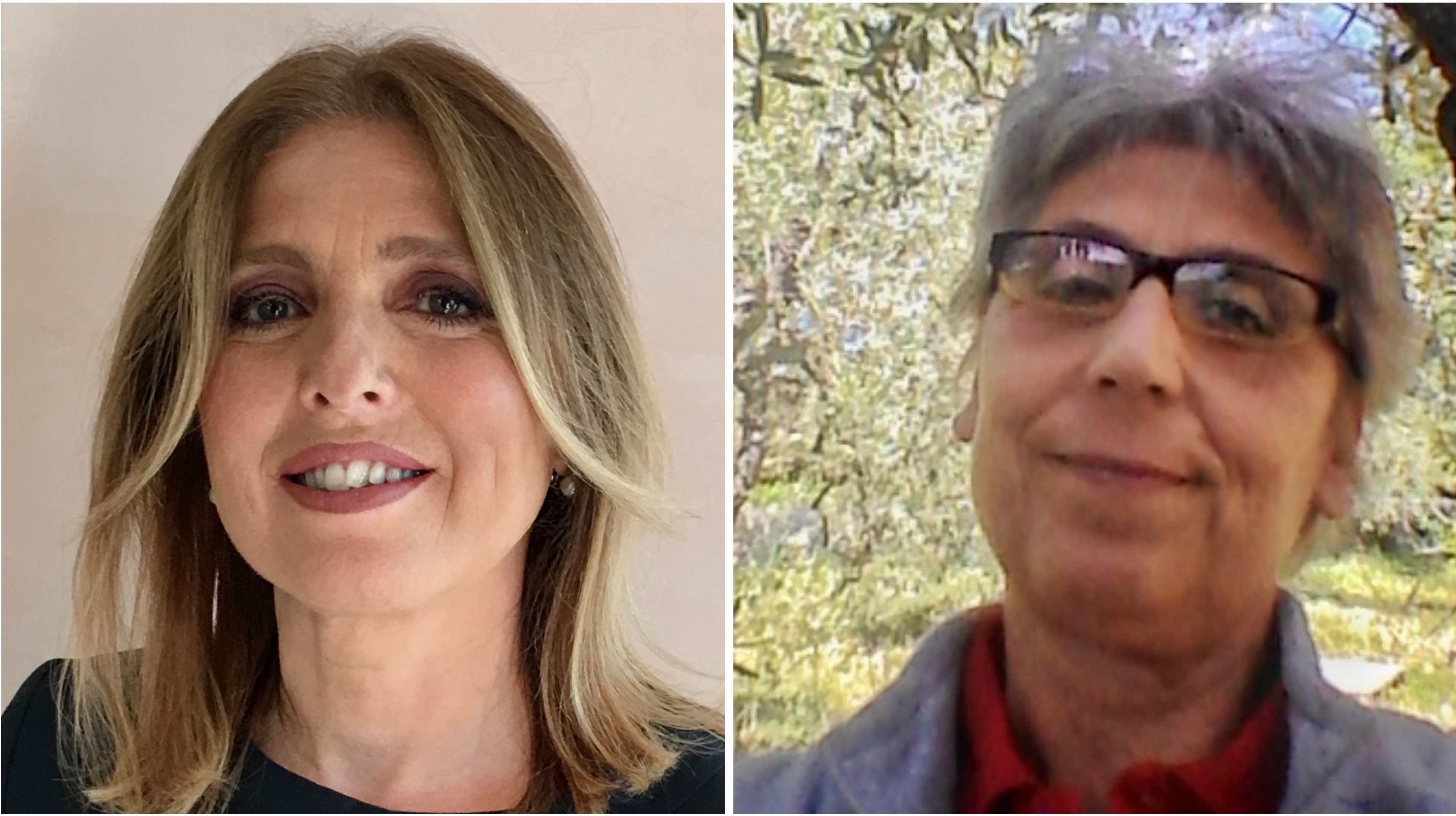 Due docenti Unifi nella Commissione tecnica di Verifica dell'Impatto Ambientale (VIA) del ...