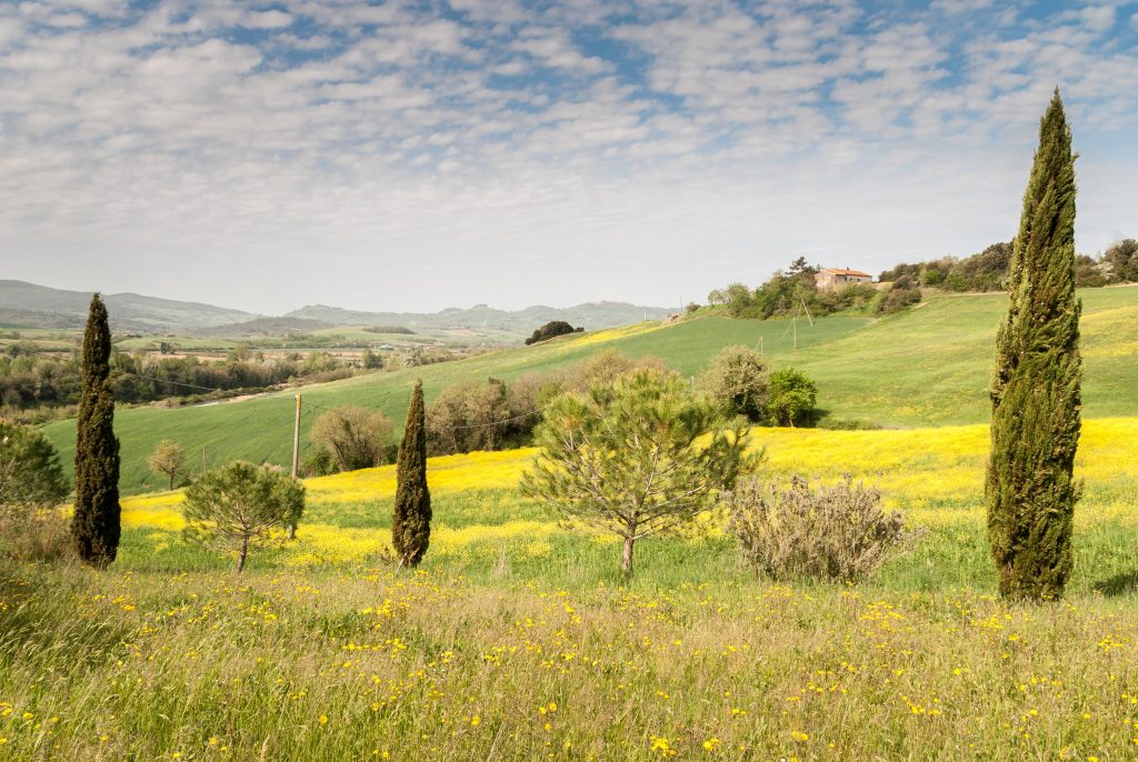 Patrimonio rurale e paesaggio, nuova cattedra Unesco - Unifimagazine ...