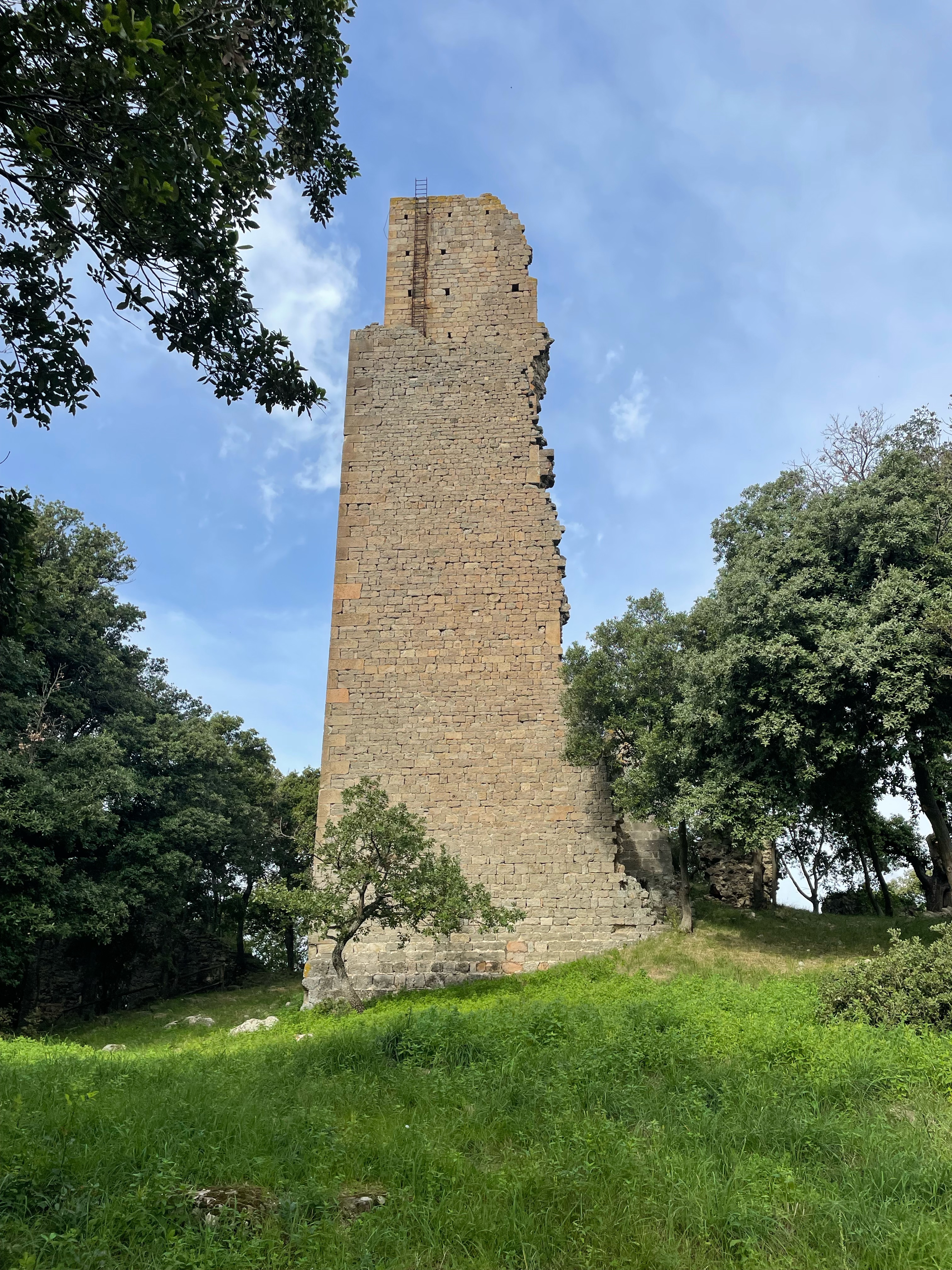 Le malte antiche raccontano la storia dei castelli medievali ...
